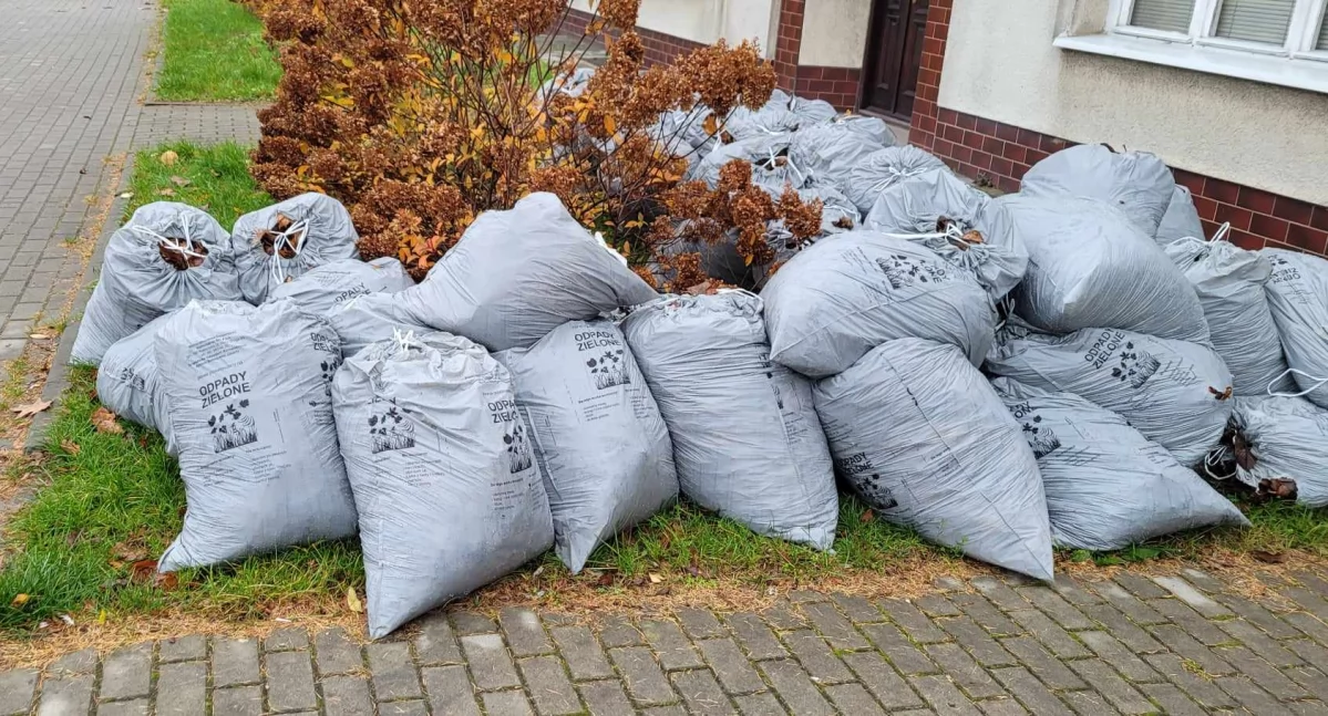 Grabienie, zamiatanie i utylizacja liści. Co i do kogo należy w tym ...