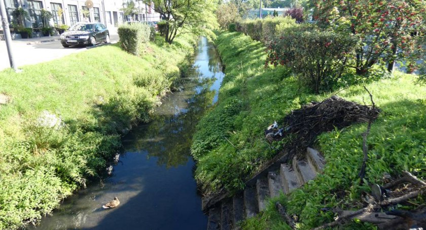 Są sposoby na Radomkę: regulowanie rzek to ślepa uliczka [Rozmowa]