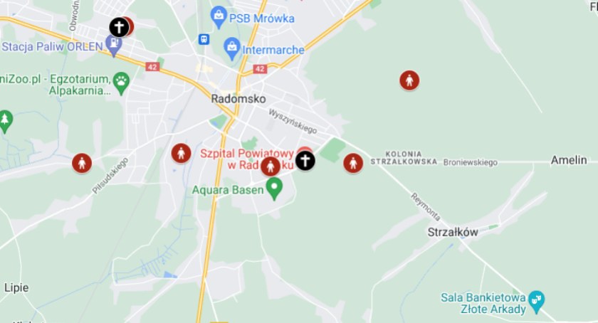 Mapa Kościelnej Pedofilii: dwa przypadki z Radomska oraz sześć ofiar ...